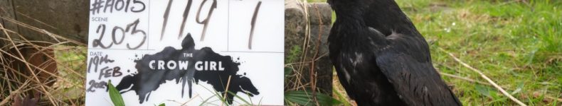 The Crow Girl (Paramount+) starring Eve Myles, Katherine Kelly ...