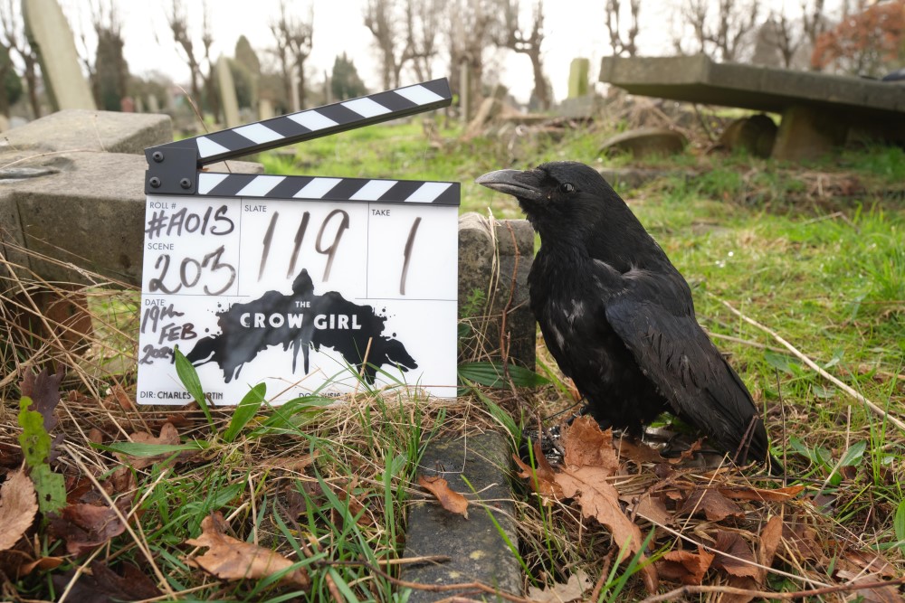 The Crow Girl (Paramount+) starring Eve Myles, Katherine Kelly ...